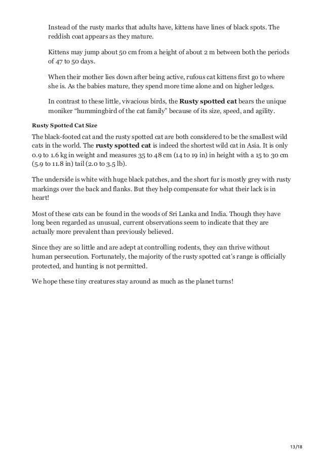 Rusty Spotted Cat | PDF