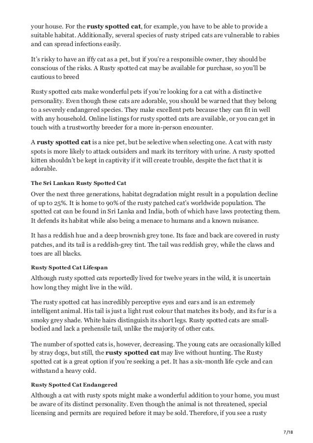 Rusty Spotted Cat | PDF