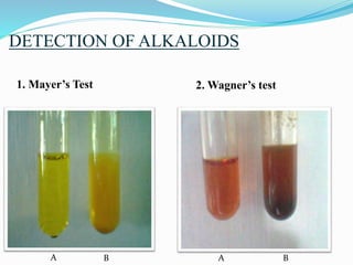 PHYTOCHEMICAL ANALYSIS OF RUTA GRAVEOLENS | PPTX