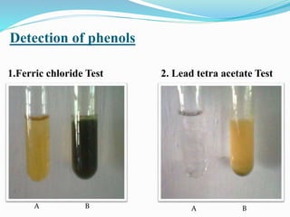 PHYTOCHEMICAL ANALYSIS OF RUTA GRAVEOLENS | PPTX