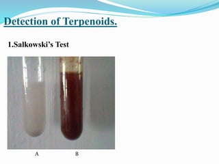 PHYTOCHEMICAL ANALYSIS OF RUTA GRAVEOLENS | PPTX