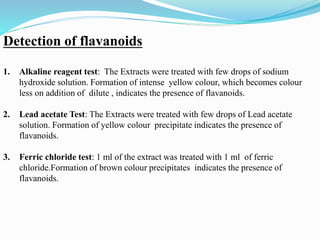 PHYTOCHEMICAL ANALYSIS OF RUTA GRAVEOLENS | PPTX