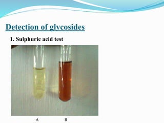 PHYTOCHEMICAL ANALYSIS OF RUTA GRAVEOLENS | PPT