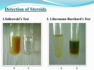 PHYTOCHEMICAL ANALYSIS OF RUTA GRAVEOLENS