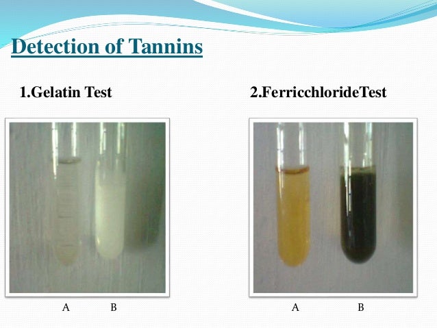 PHYTOCHEMICAL ANALYSIS OF RUTA GRAVEOLENS
