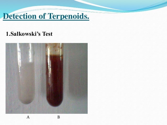 PHYTOCHEMICAL ANALYSIS OF RUTA GRAVEOLENS