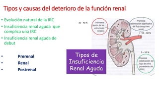 LESION RENAL AGUDA | PDF