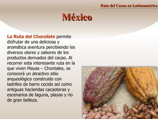 Ruta cacao | PPS