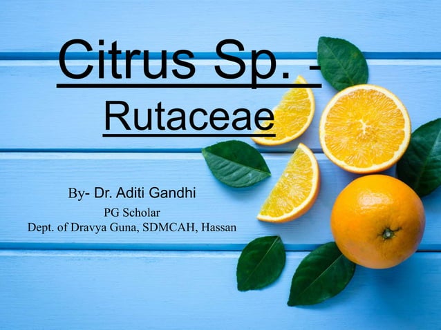 Rutaceae Family species | PPTX | Gardening | Home & Garden