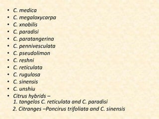 Rutaceae Family species | PPTX