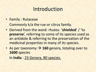 Rutaceae Family species | PPTX | Gardening | Home & Garden