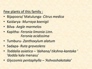 Rutaceae Family species | PPTX