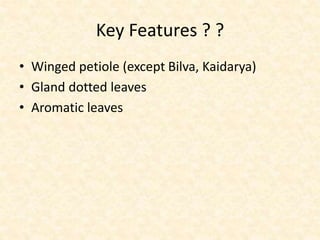 Rutaceae Family species | PPTX | Gardening | Home & Garden