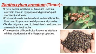 Family Rutaceae.pdf | Herbs and Supplements | Alternative Medicine