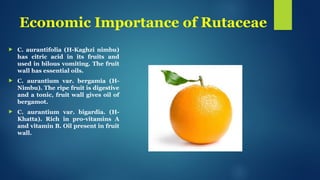 Rutaceae Family Description - Orange Family.pptx