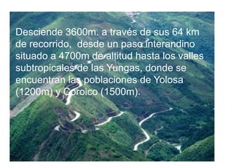 Ruta de la muerte | PPT