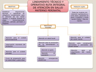RUTA INTEGRAL DE ATENCION MATERNO PERINATAL.pptx