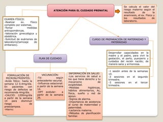 RUTA INTEGRAL DE ATENCION MATERNO PERINATAL.pptx
