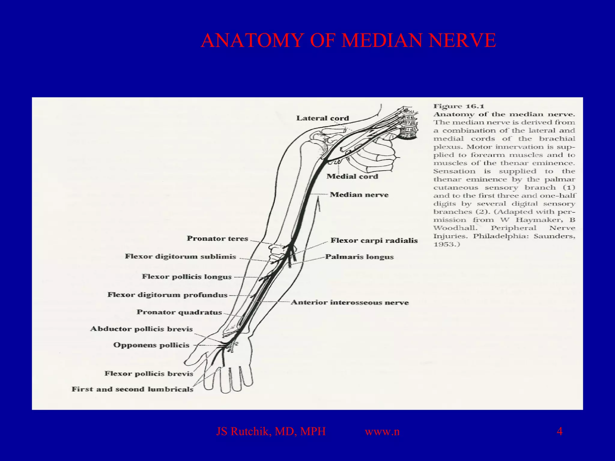 ELECTROMYOGRAPHY AND UPPER EXTREMITY DISORDERS | PPT