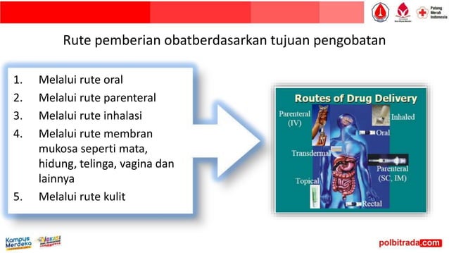 Rute dan efek Pemberian Obat.pptx