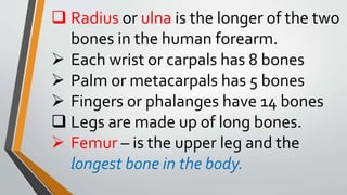 Skeletal System | PPTX