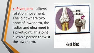 Skeletal System | PPTX