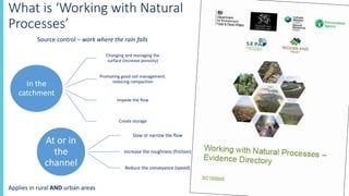 Using natural processes to reduce flood risk; experiences from Trent ...