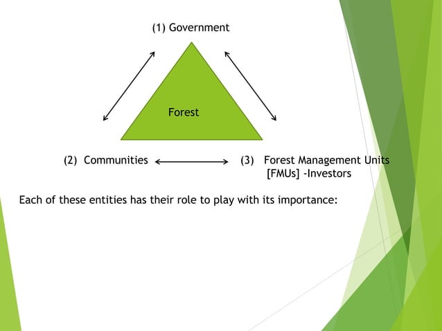 Strengthening forest governance through collaboration between ...