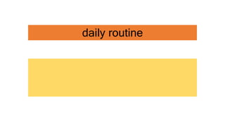 Rutina diaria | PPT
