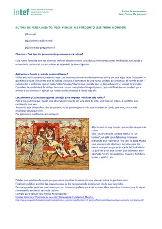 Rutina Veo-pienso-me pregunto | PDF