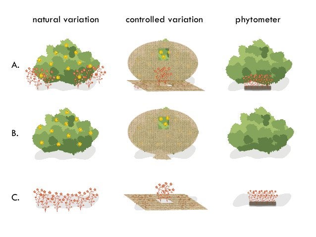 Decoupling the direct and indirect pathways of basal plant facilitation ...