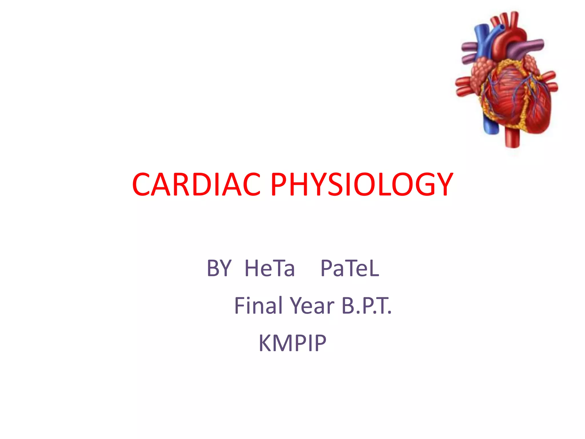 Cardiac Physiology: Functions, Cycles, and Reflexes | PPT