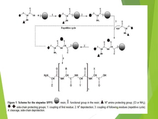 Segment and Sequential Stratergies for Solution Phase Peptide Synthesis ...