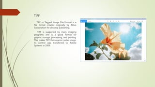 IMAGE FILE FORMAT IN EMPOWERMENT TECHNOLOGY | PPTX