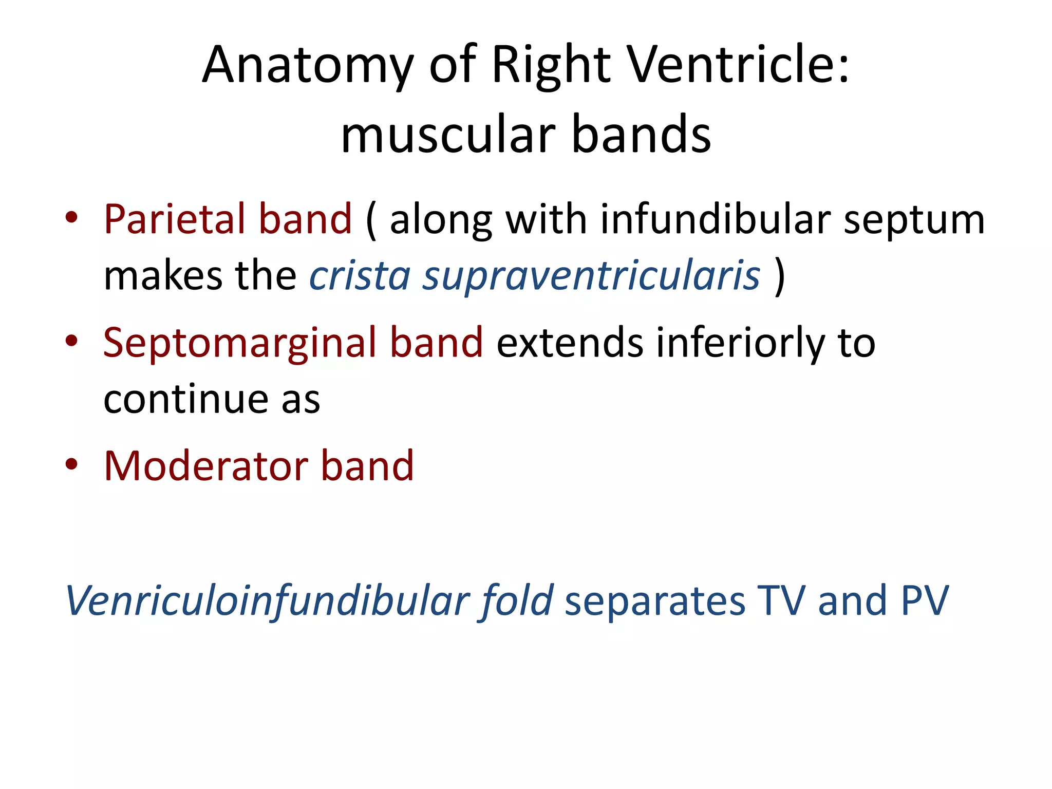 Rv assessment | PPTX