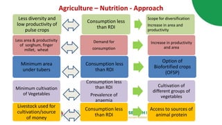 Leveraging agriculture for nutrition and health | PPT