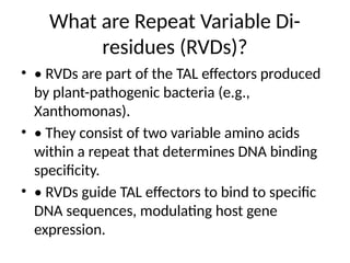 RVD_and_TALENs_Presentation repeat variable diresidue.pptx