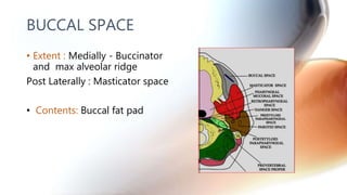 CT anatomy of Neck Spaces RV | PPTX