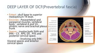 CT anatomy of Neck Spaces RV | PPTX