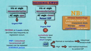 Rvo guidelines | PPT