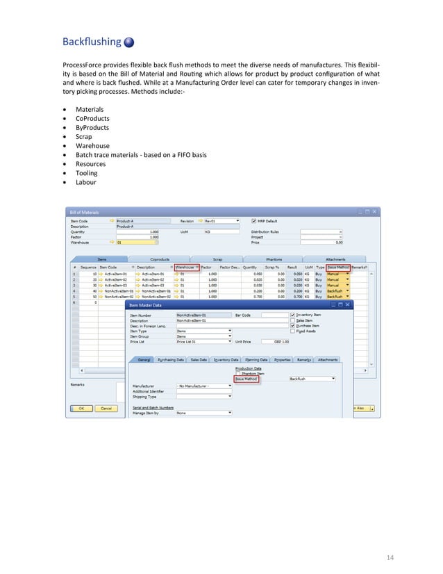 SAP Business One with ProcessForce - BeOne Solution | PDF