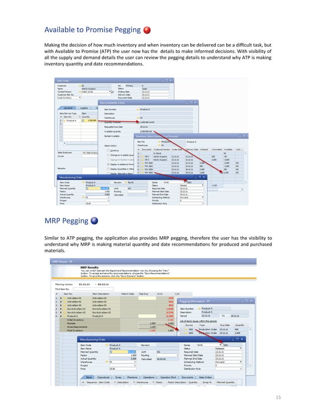 SAP Business One with ProcessForce - BeOne Solution | PDF