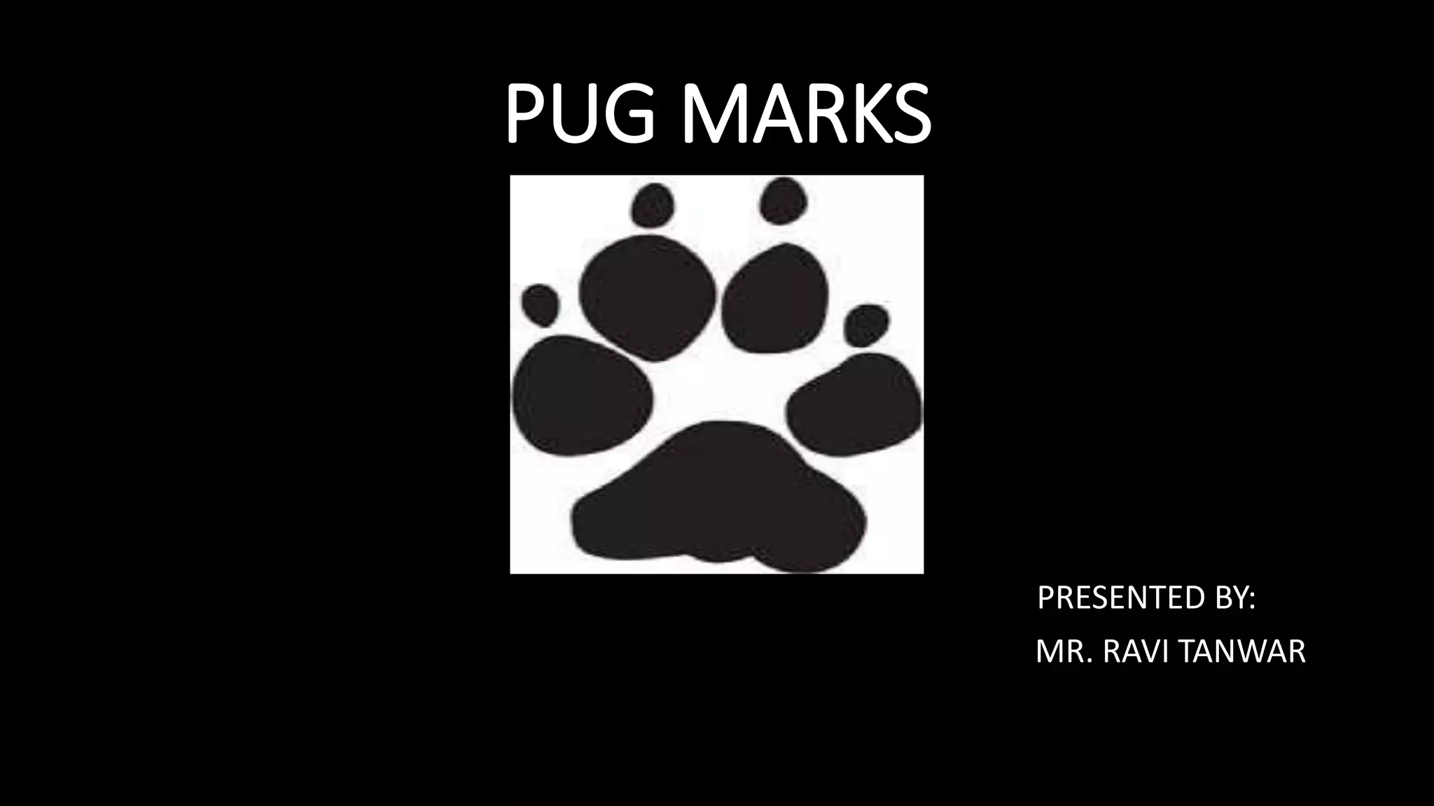 Forensic Pug Marks PPT | PPTX