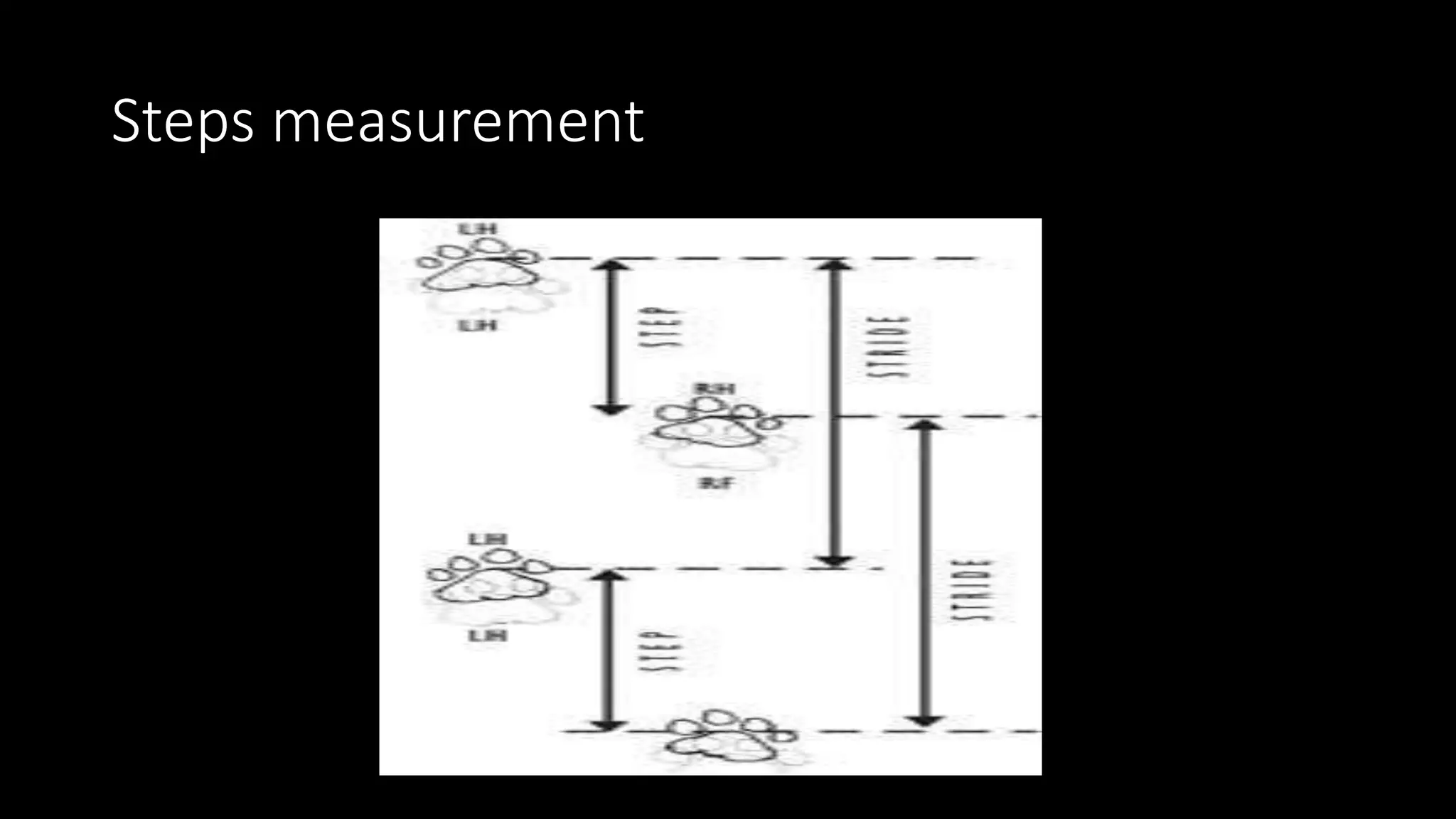Forensic Pug Marks PPT | PPTX