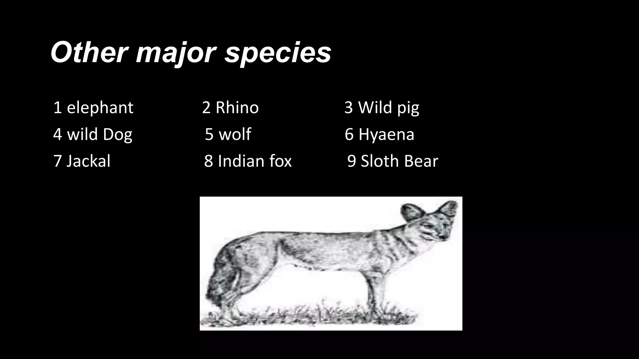 Forensic Pug Marks PPT | PPTX
