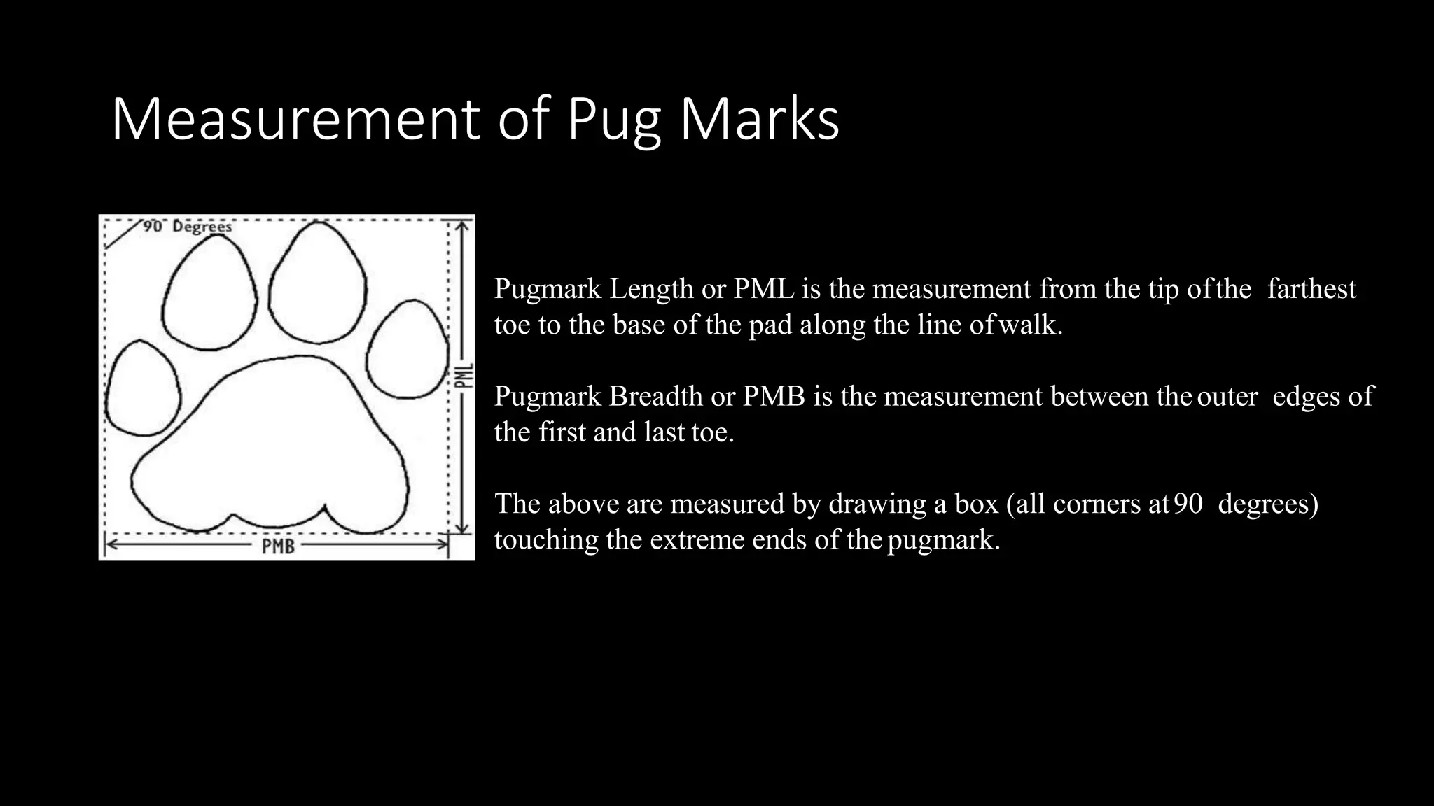 Forensic Pug Marks PPT | PPTX