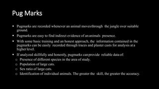 Forensic Pug Marks PPT | PPTX