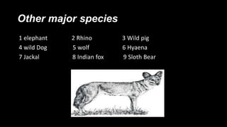 Forensic Pug Marks PPT | PPTX
