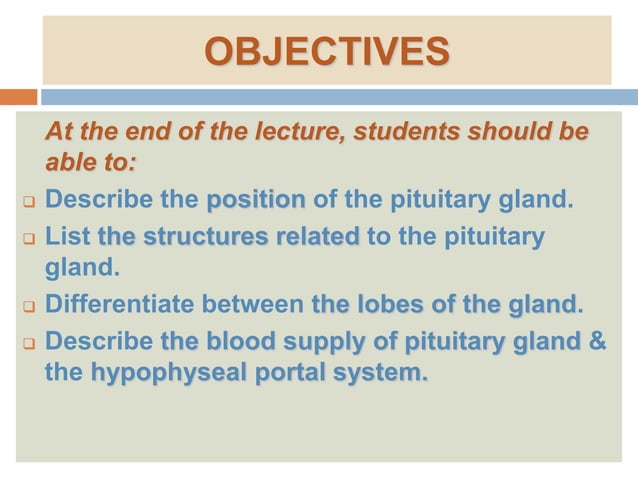 Endocrine system _Anatomy_of_pituitary_gland | PPT
