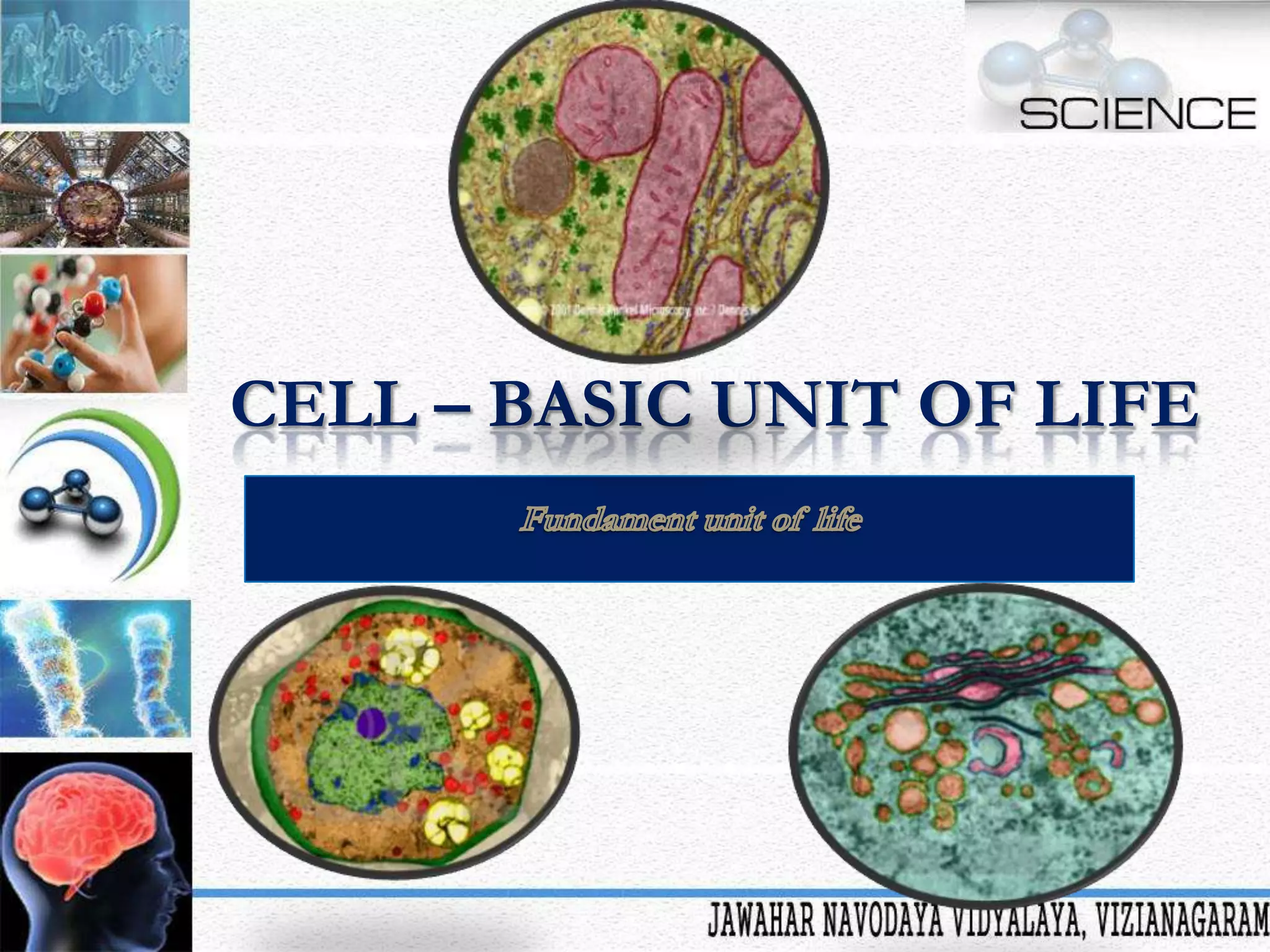 Cell is the Basic Unit of Life | PPTX